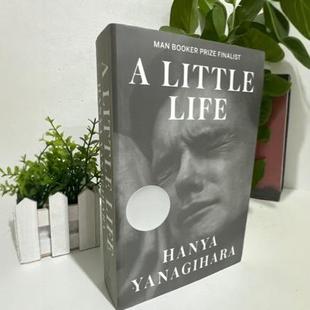 小生活 英文版书 A Little Life 渺小一生 英文版原版小说 布克-阿里巴巴