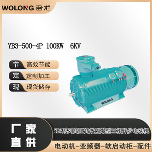 YB3-500-4P 100KW 6KV 煤矿专业隔爆型电机YBK3 安装方式 B3 V1-阿里巴巴