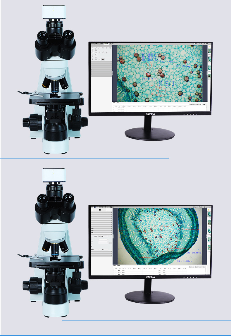 三目生物显微镜生物实验室细菌分析无限远物镜观察高清细胞放大镜-阿里巴巴