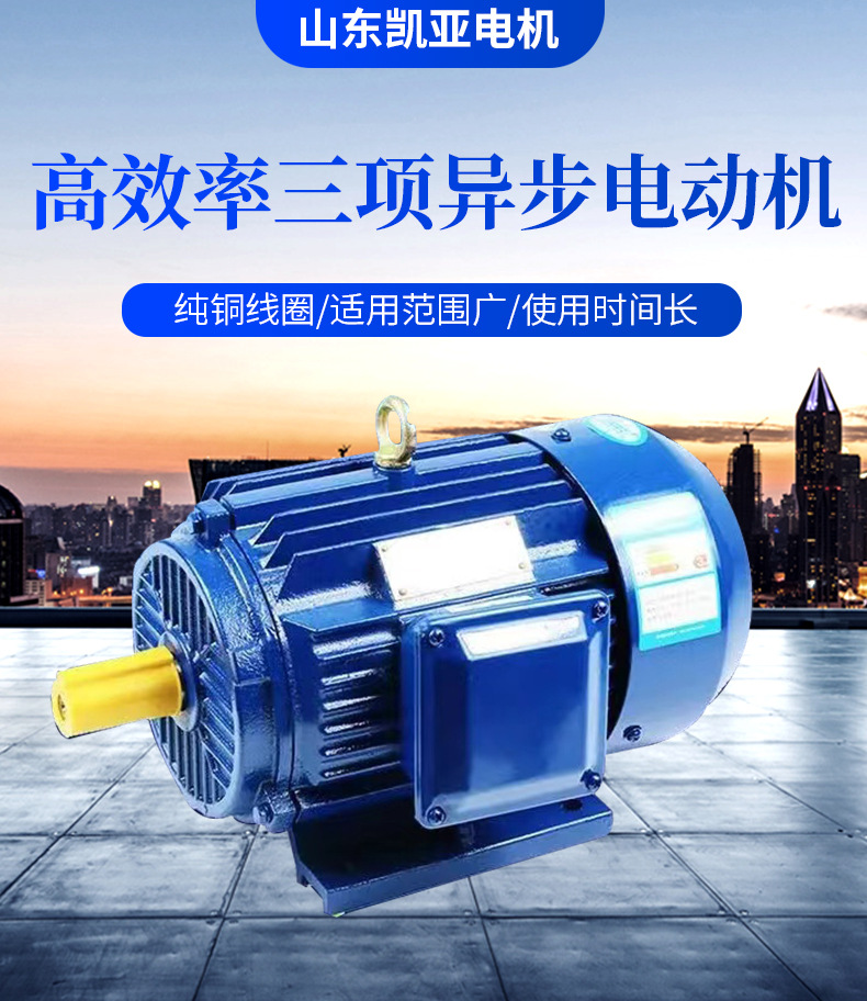 380V电机高效率三项异步电动机YE3-YE4-YE5-YEJ-YVP-YBX4-YBX5-阿里巴巴