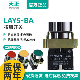 TENGEN天正LAY5按钮BA31 BA42 BA35 BA45 BA55平头自复位按钮开关-阿里巴巴