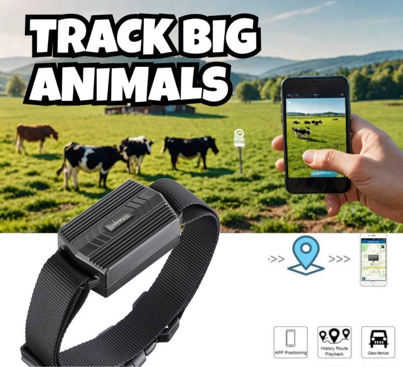 1 TKSTAR 2G 4G TK935牛羊骆驼gps放牧定位器For Cow Camel Sheep-阿里巴巴