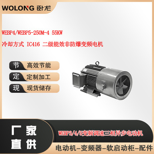 WEBP4/WEBP5-250M-4 55KW冷却方式 IC416二级能效非防爆变频电机-阿里巴巴