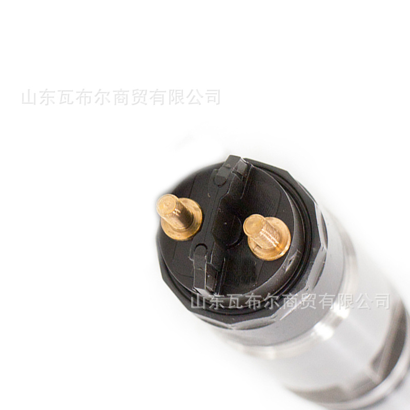 0445120215喷油器0445120455 0445120455 0445120102 0445120162-阿里巴巴