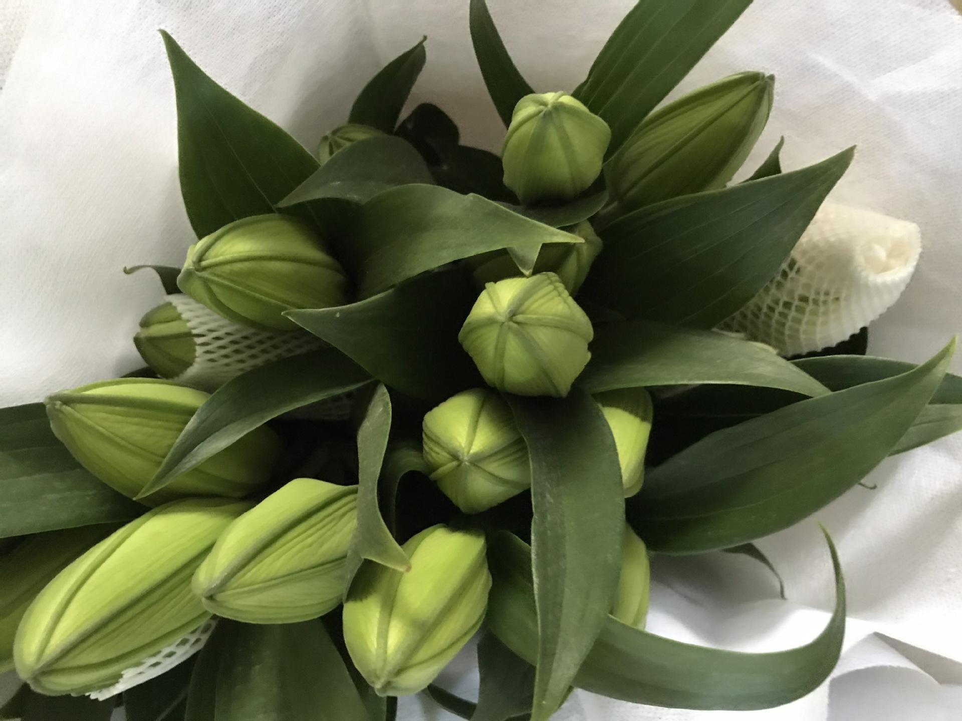 云南昆明百合花批发多头香水百合整扎直批鲜花基地直发团购-阿里巴巴