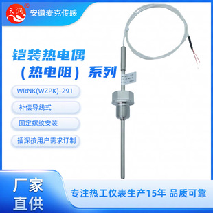 铠装热电偶K型 铠装铂电阻 PT100 WRNK-291 WZPK-291 固定螺纹式-阿里巴巴