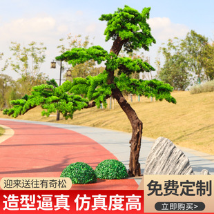仿真迎客松大型造景绿植罗汉美人松树酒店楼梯下装饰假树景观摆件 阿里巴巴 6668