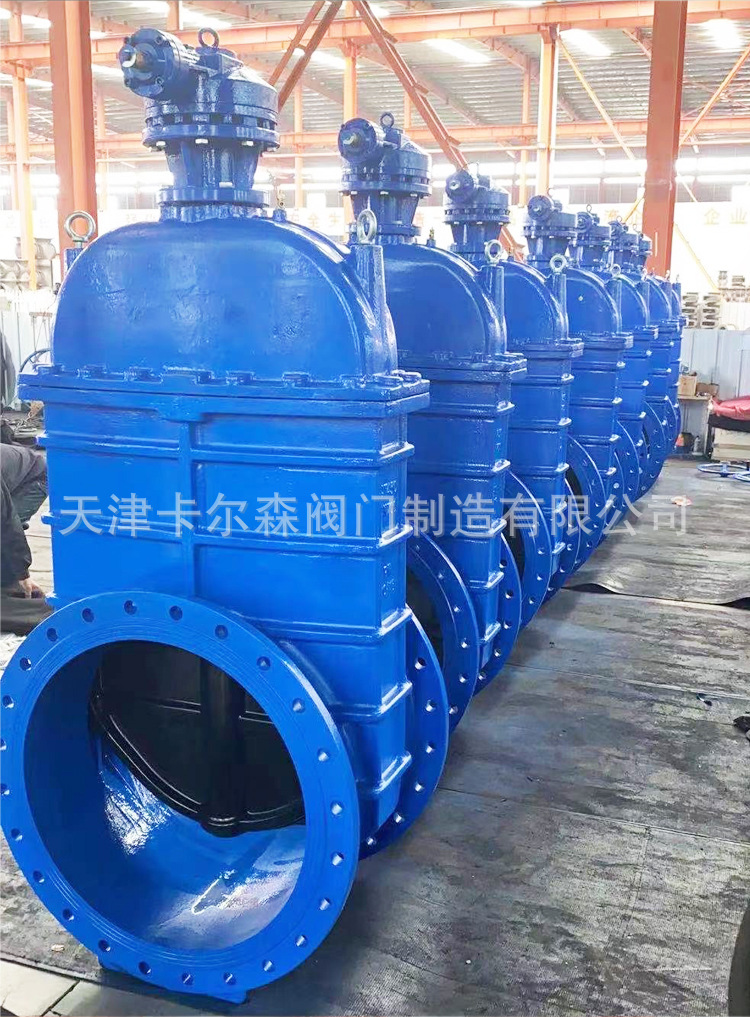 卡尔森Z45X-10/16Q法兰球墨铸铁dn100污水弹性座暗杆 软密封闸阀-阿里巴巴