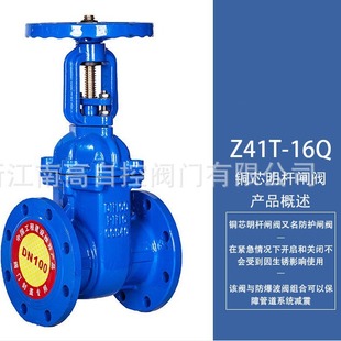 Z41T-10/16铸铁明杆闸阀 硬密封铜芯闸阀 手动法兰明杆楔式闸阀门-阿里巴巴