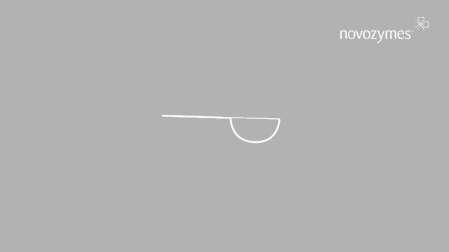 诺维信 食品级 脂肪酶 Lipopan F 改善馒头 包子内部结构 生物酶-阿里巴巴