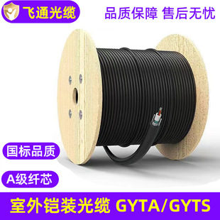 电信级室外光缆GYTA GYTS铠装光缆4芯12芯24芯48芯144芯国标光缆-阿里巴巴