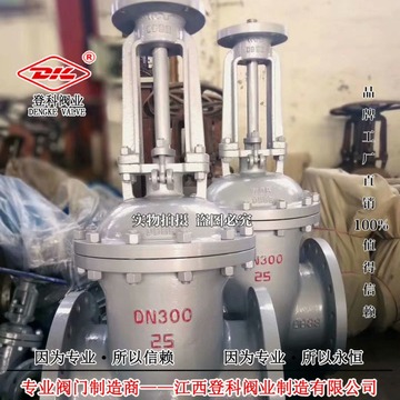 带电动支架闸阀 Z941H-64C DN250 手动法兰闸阀 明杆铸钢法兰闸阀-阿里巴巴