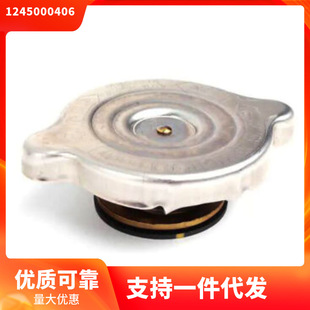 1245000406适用于奔驰老款车专用回水壶盖 副水箱盖 1295000006-阿里巴巴
