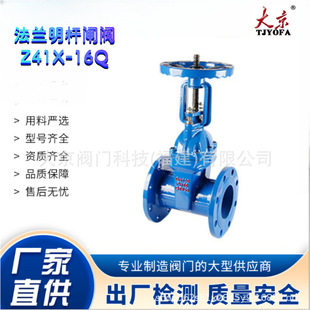 法兰式明杆软密封闸阀球墨铸铁法兰闸阀弹性座封闸阀Z41X-10/16Q-阿里巴巴