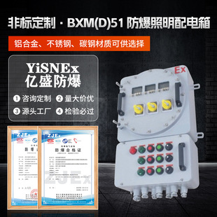 厂家供应BXMD51系列防爆照明配电箱 IIC Extb 防腐防水防尘配电箱-阿里巴巴