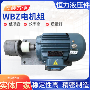 三相异步电动机WBZ卧式液压齿轮泵电机组大功率齿轮减速电机-阿里巴巴