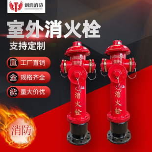 定制消防栓厂家室外地上式消防栓SS100/65-1.6消火栓消防器材直供-阿里巴巴