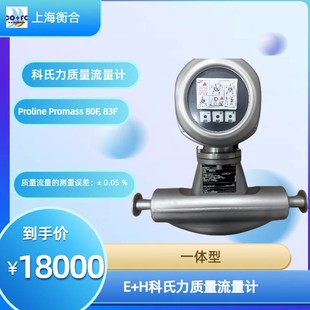 恩德斯豪斯Promass卡箍智能管道质量气体液体不锈钢流量计83F08-阿里巴巴
