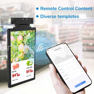10.1 Inch LCD Price Tags Electronic Shelf Digital Labeling-阿里巴巴