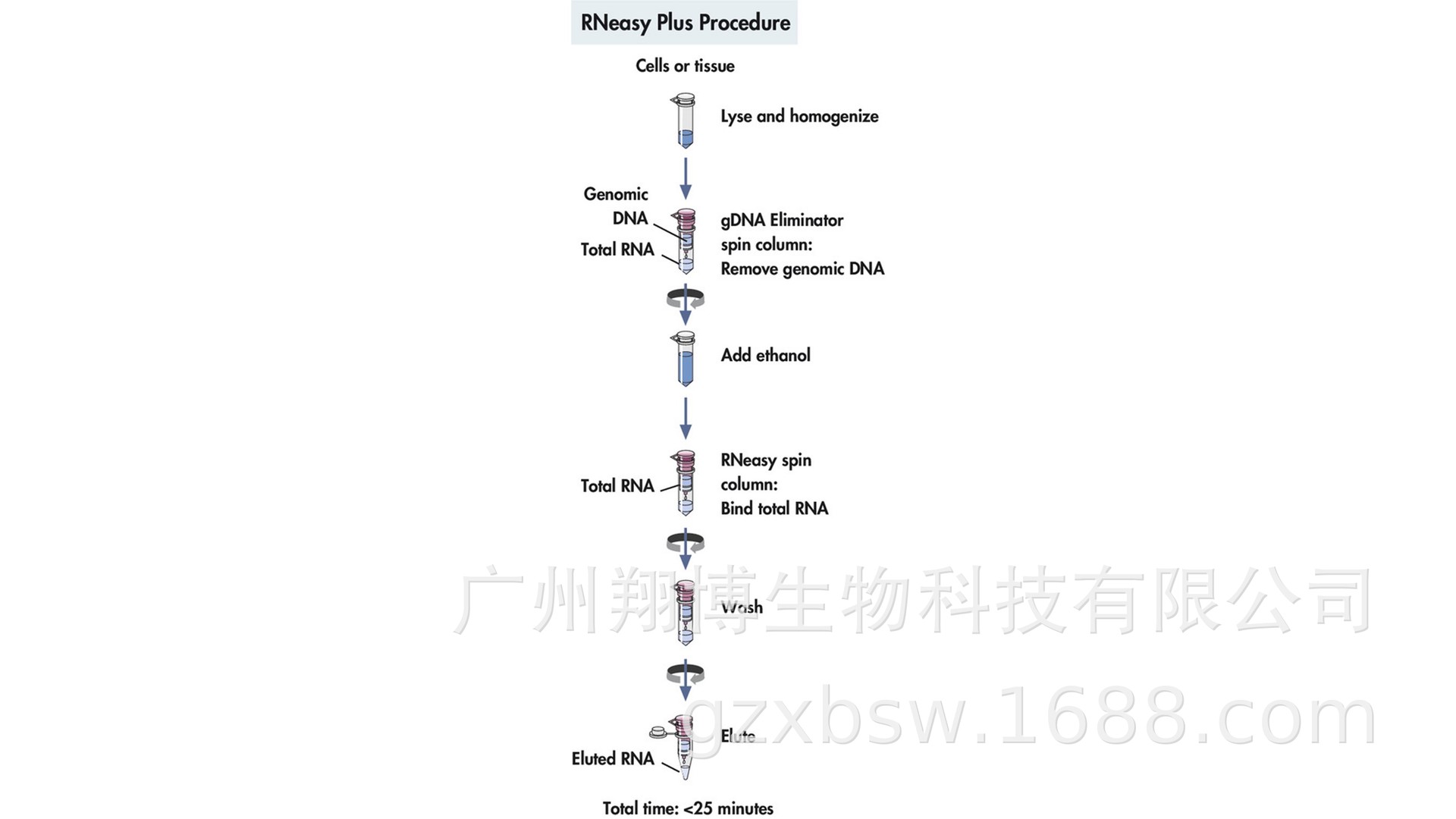 QIAGEN 74134 RNeasy Plus Mini Kit RAN纯化试剂盒-阿里巴巴