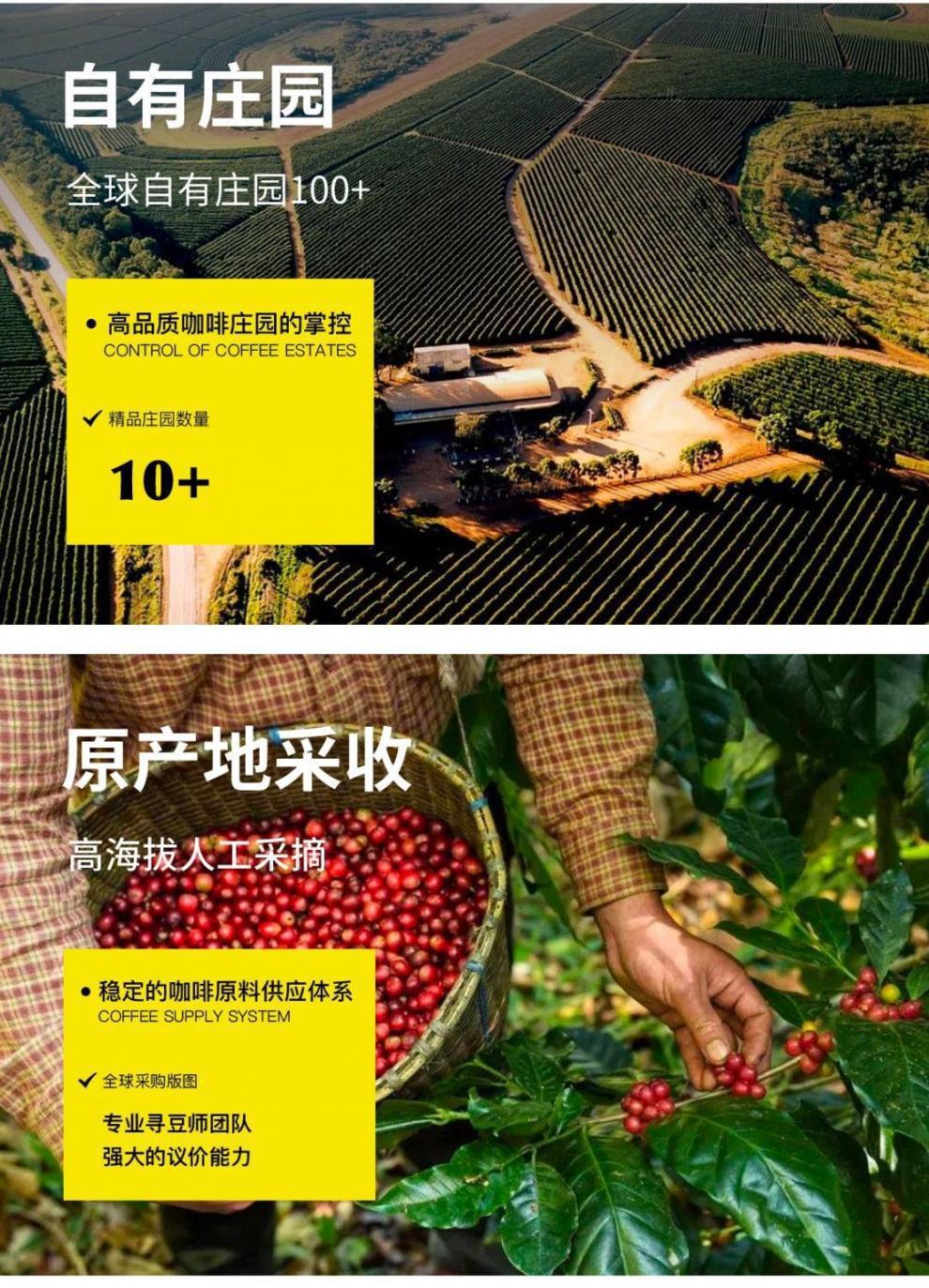 FIFO意式拼配油脂王PLUS咖啡豆精品美式黑咖啡现磨咖啡粉深度烘焙-阿里巴巴