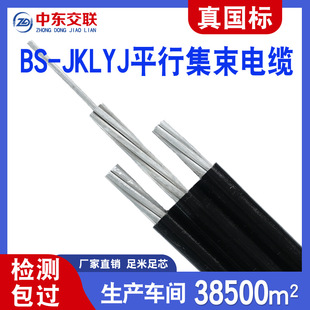 国标BS-JKLYJ平行架空电力电缆线 室外高压集束绝缘导线铝芯电缆-阿里巴巴
