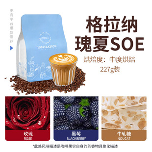 瑰夏SOE埃塞俄比亚格拉纳庄园日晒处理G1中度烘焙意式咖啡豆227g-阿里巴巴