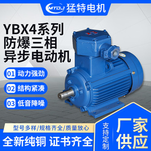 定制YBX4防爆电动机 气体粉尘防爆电机 二级IE4节能驱动电机-阿里巴巴