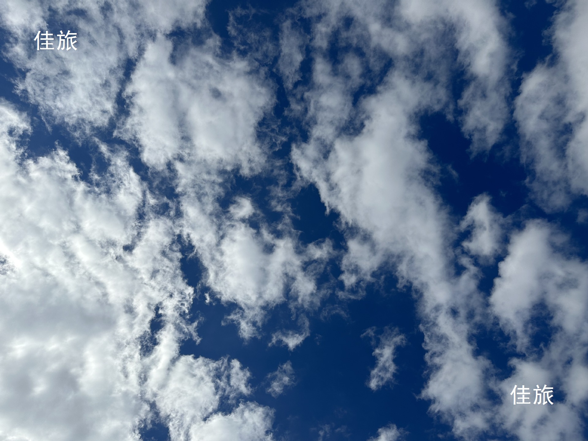 加厚不锈钢球类收纳架篮足排球通用型球类推车摆放置物架加固耐用-阿里巴巴