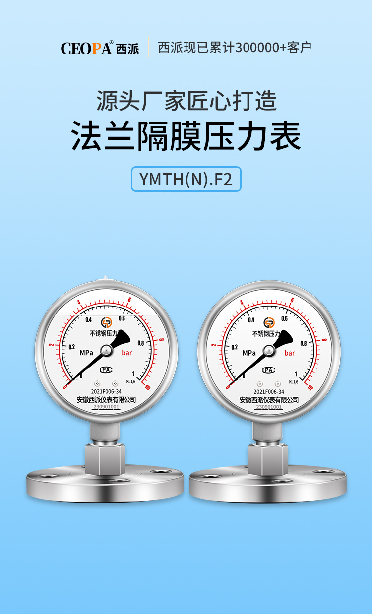 不锈钢隔膜压力表1.6mpa高压水气液压防腐防爆Y100BF 真空压力表-阿里巴巴
