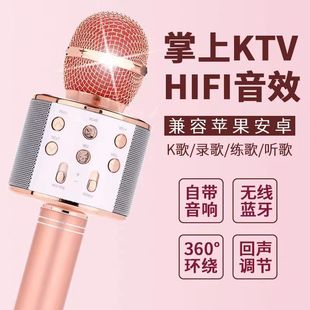 普通配置WS858麦克风户外K歌音响直播家用话筒唱歌一体机K歌神器-阿里巴巴