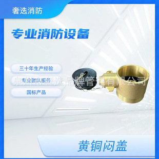 英式消火栓BS336黄铜斜式消防栓DN65落地阀2.5寸外贸厂家直供-阿里巴巴