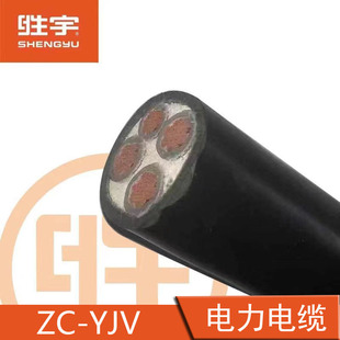 胜宇电缆ZR-YJV3+1中压电力电缆 工程地装低压交联电力电缆-阿里巴巴