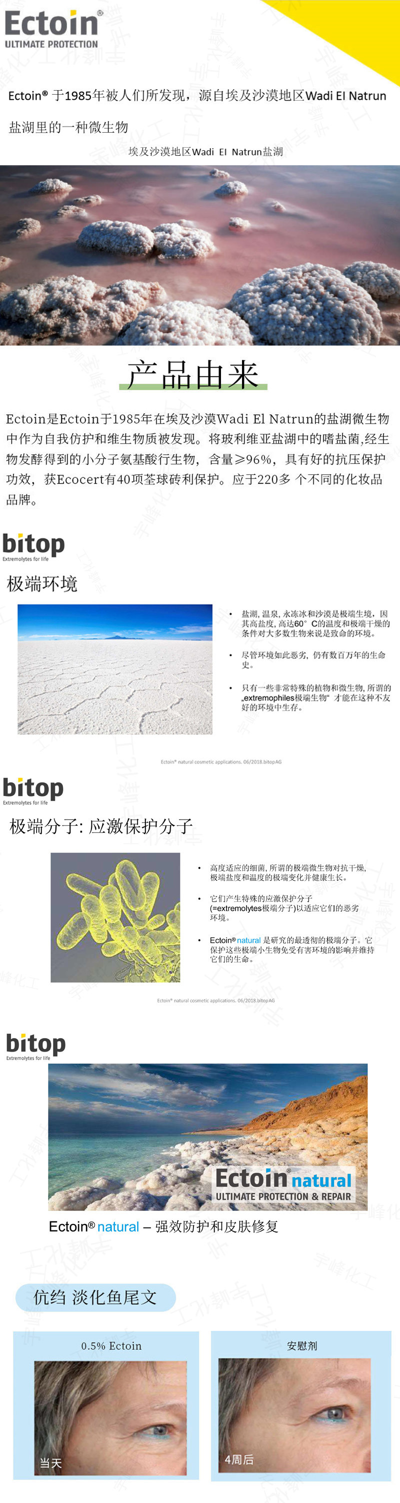 德国Bitop 依克多因 Ectoin 四氢嘧啶 10g/袋-阿里巴巴