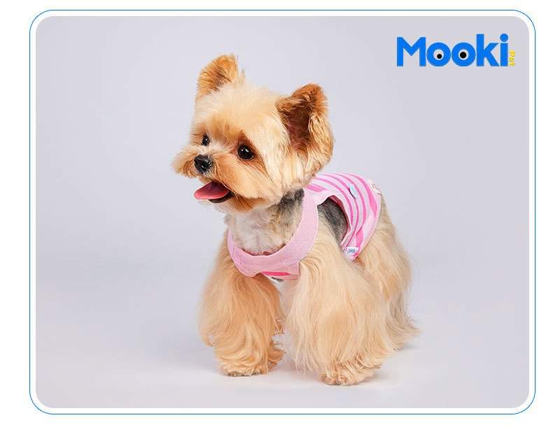 mookipet狗狗衣服批发秋冬季马尔济斯约克夏宠物狗猫小型犬背心-阿里巴巴