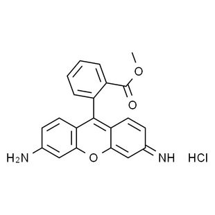 R8030 罗丹明123 62669-70-9 阳离子绿色荧光染料 检测膜电位-阿里巴巴