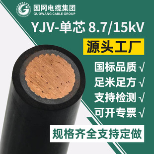 yjv10kv高压单芯电缆 yjv1*35/50/70/95阻燃铜芯高压电缆国标品质-阿里巴巴