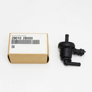 290102B000适用于现代伊兰特起亚Soul forte蒸汽罐净化阀电磁阀-阿里巴巴