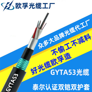 GYTA53-12B1/B1.3层绞双铠双护套直埋地埋光缆 16芯单模光纤重铠-阿里巴巴