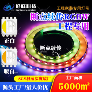 FW1834 RGBW四合一 断点续传 幻彩灯带12V低压可编程防水 LED灯带-阿里巴巴