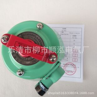 沈变所变压器压力释放阀 YSF4II-55/50KJBTH 电力阀门装置-阿里巴巴