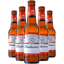 【百威纯生啤酒】_百威纯生啤酒品牌/图片/价格_百威纯生啤酒批发_阿里巴巴