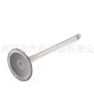 适用大众奥迪 进排汽门(套)06E109601/611 1TD129622D 03C907386D-阿里巴巴