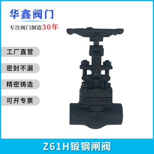 Z61H锻钢闸阀源头厂家直供高温高压焊接A105手动硬密封承插焊闸阀-阿里巴巴
