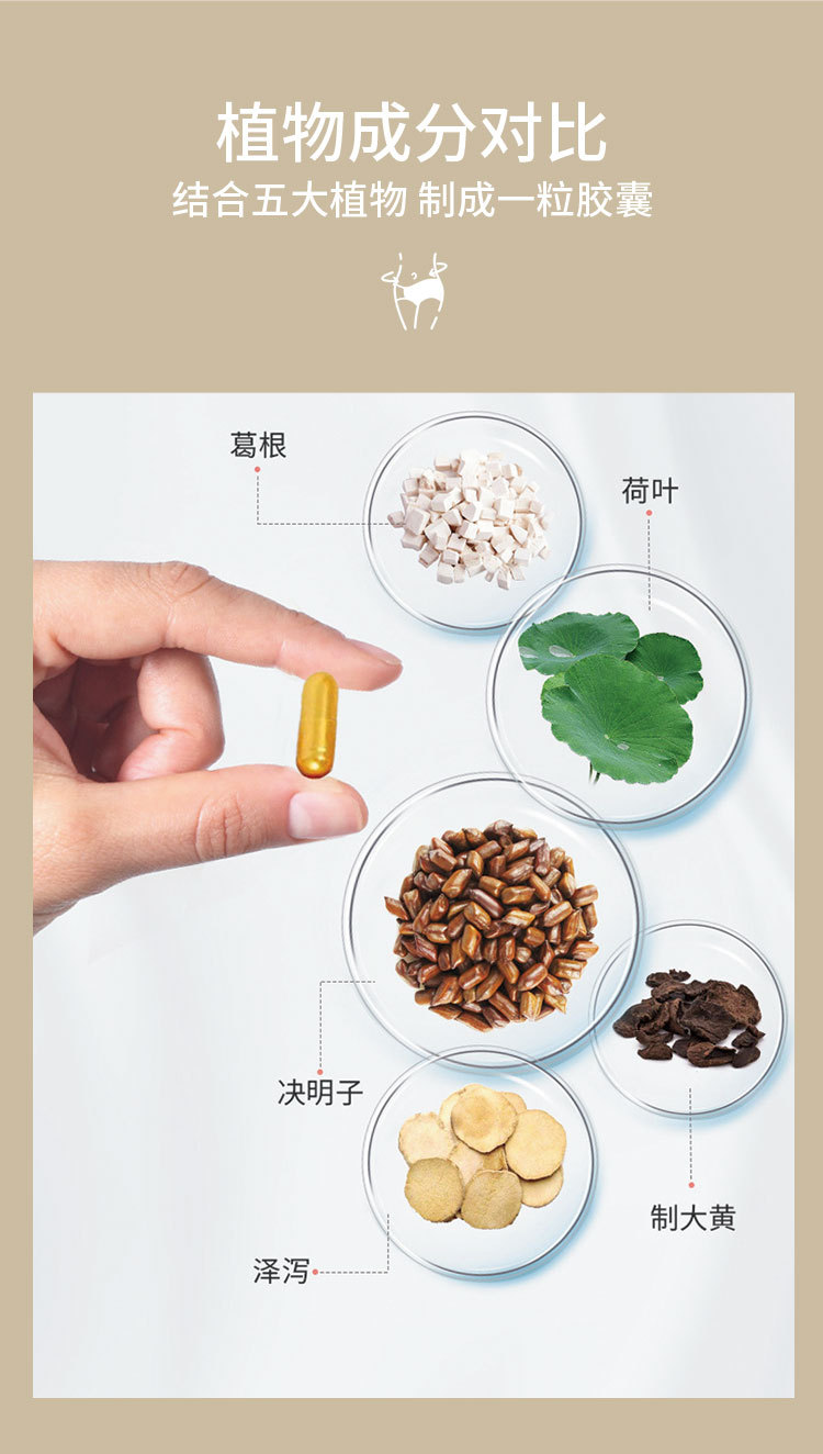 蓝帽认证正品月牙儿胶囊减肥片0.3g*30粒决明子荷叶金色减肥胶囊-阿里巴巴