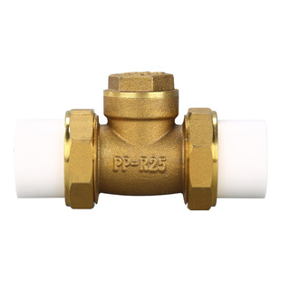 4分20ppr铜止回阀防反水马桶25立式逆止阀自来水管卧式水表单向阀-阿里巴巴