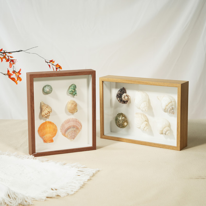 Shell conch hollow photo frame diy handmade table three-dimensional ...