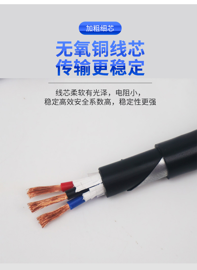 丰旭国标纯铜铠装2芯电源线绝缘zrc-rvv4/6平方户外护套软线缆-阿里巴巴