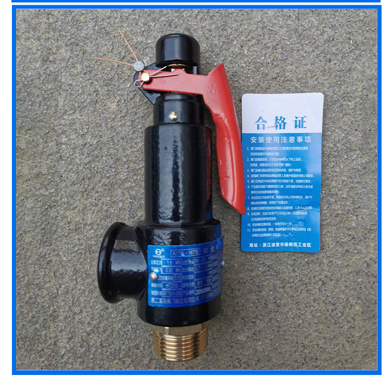A27W-16T富羽品牌弹簧式安全阀微启式外螺纹安全阀可提供代检服务-阿里巴巴