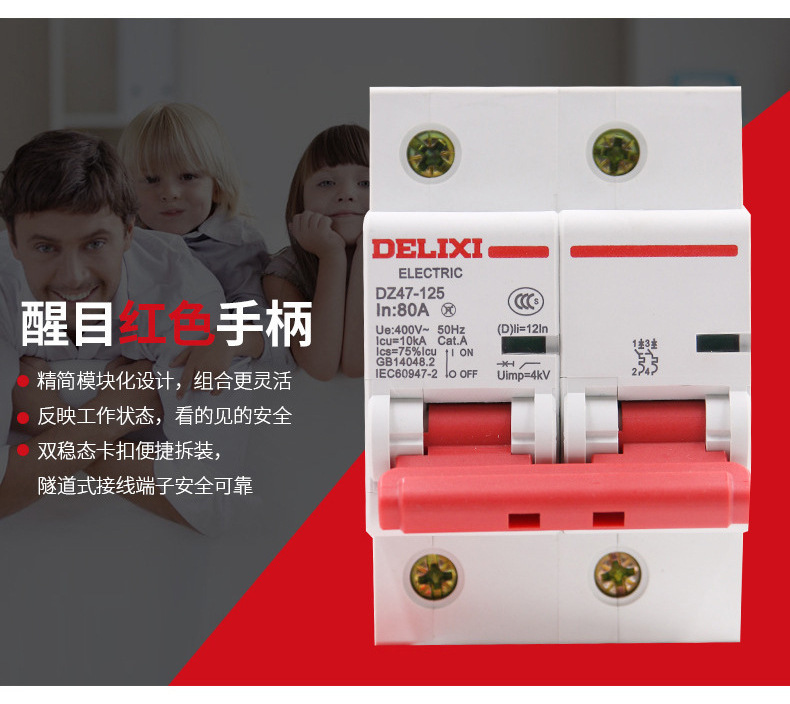 德力西电气家用微断开关DZ47-125 100A 125A D型大电流小型断路器-阿里巴巴